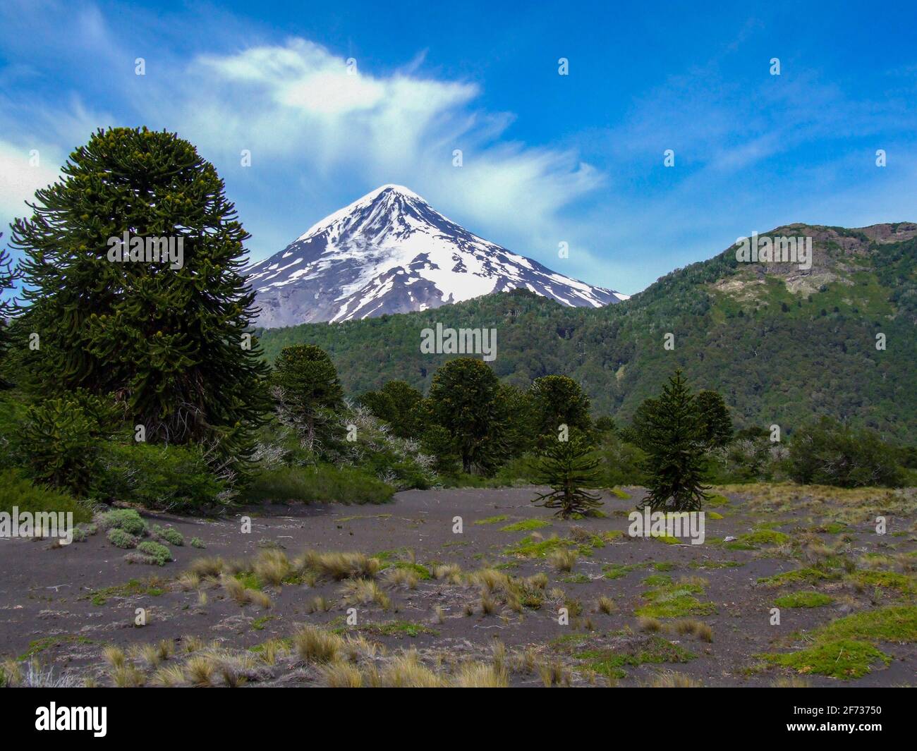 Lanin Volcano National Park High Resolution Stock Photography and ...