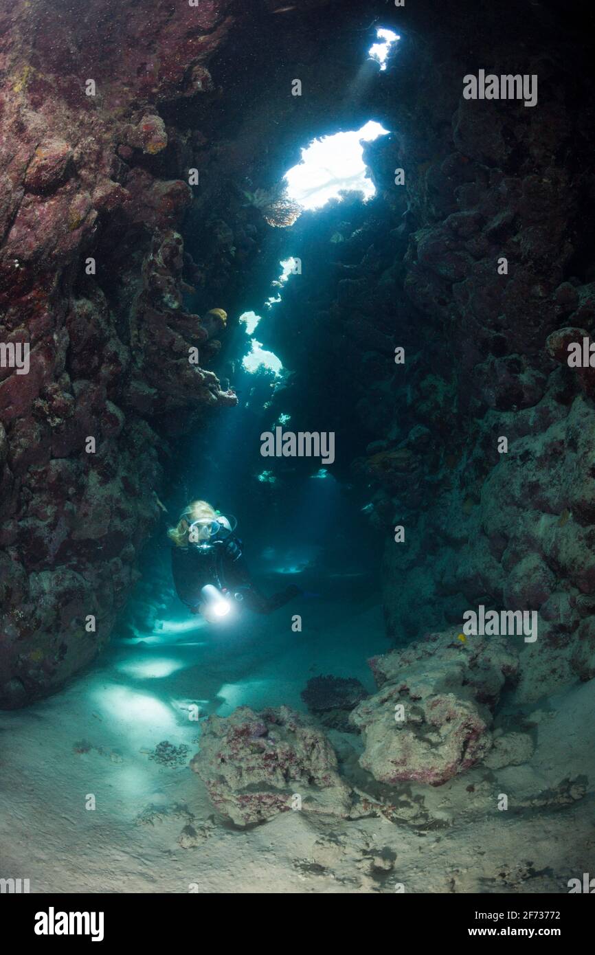 Diver in underwater cave, Zabargad, Red Sea, Egypt Stock Photo - Alamy