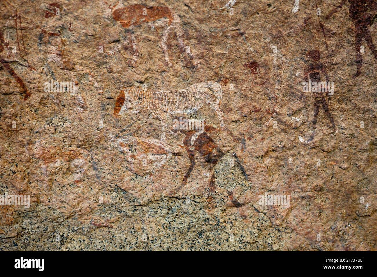 Archaeological rock drawing White Lady, Brandberg, Erongo, Namibia ...