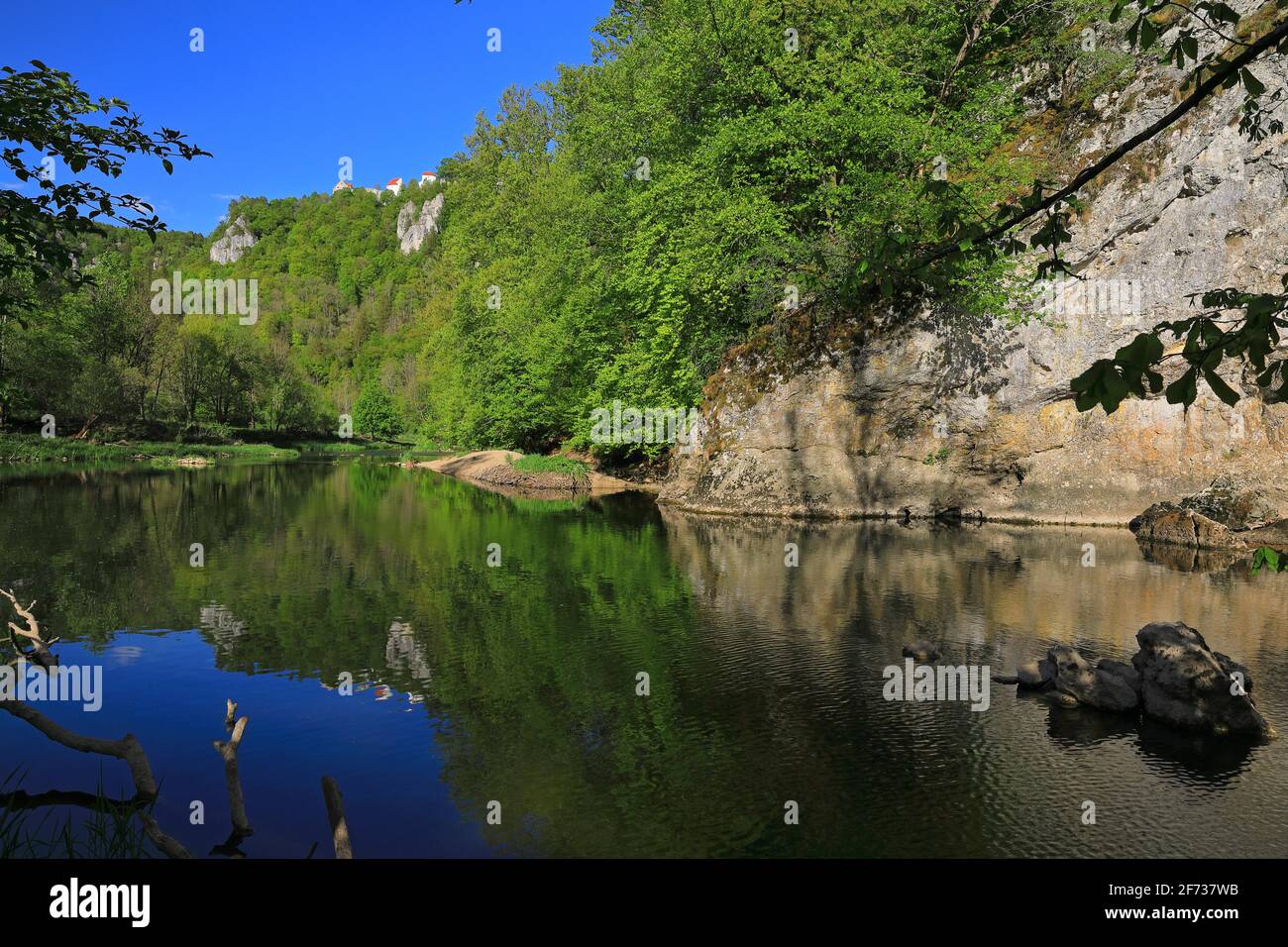 Wildenstein Castle, Danube, Danube Valley, spring, Upper Danube nature ...