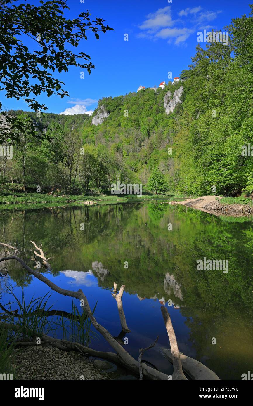 Wildenstein Castle, Danube, Danube Valley, spring, Upper Danube nature ...