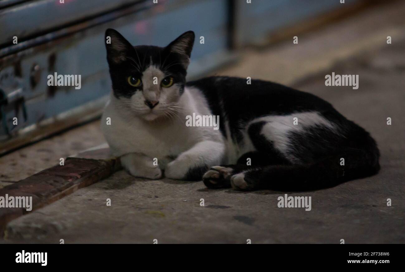 Hanging around city hi-res stock photography and images - Alamy