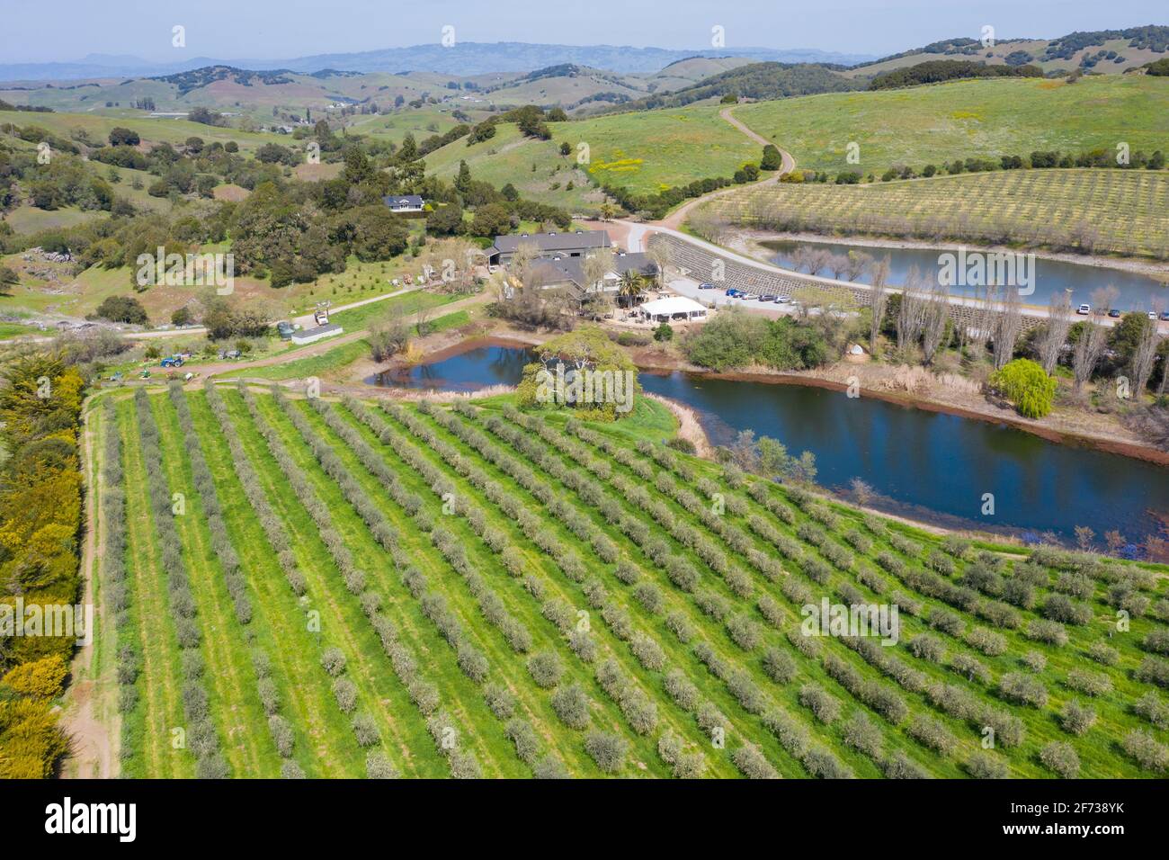 Mcevoy ranch hi-res stock photography and images - Alamy