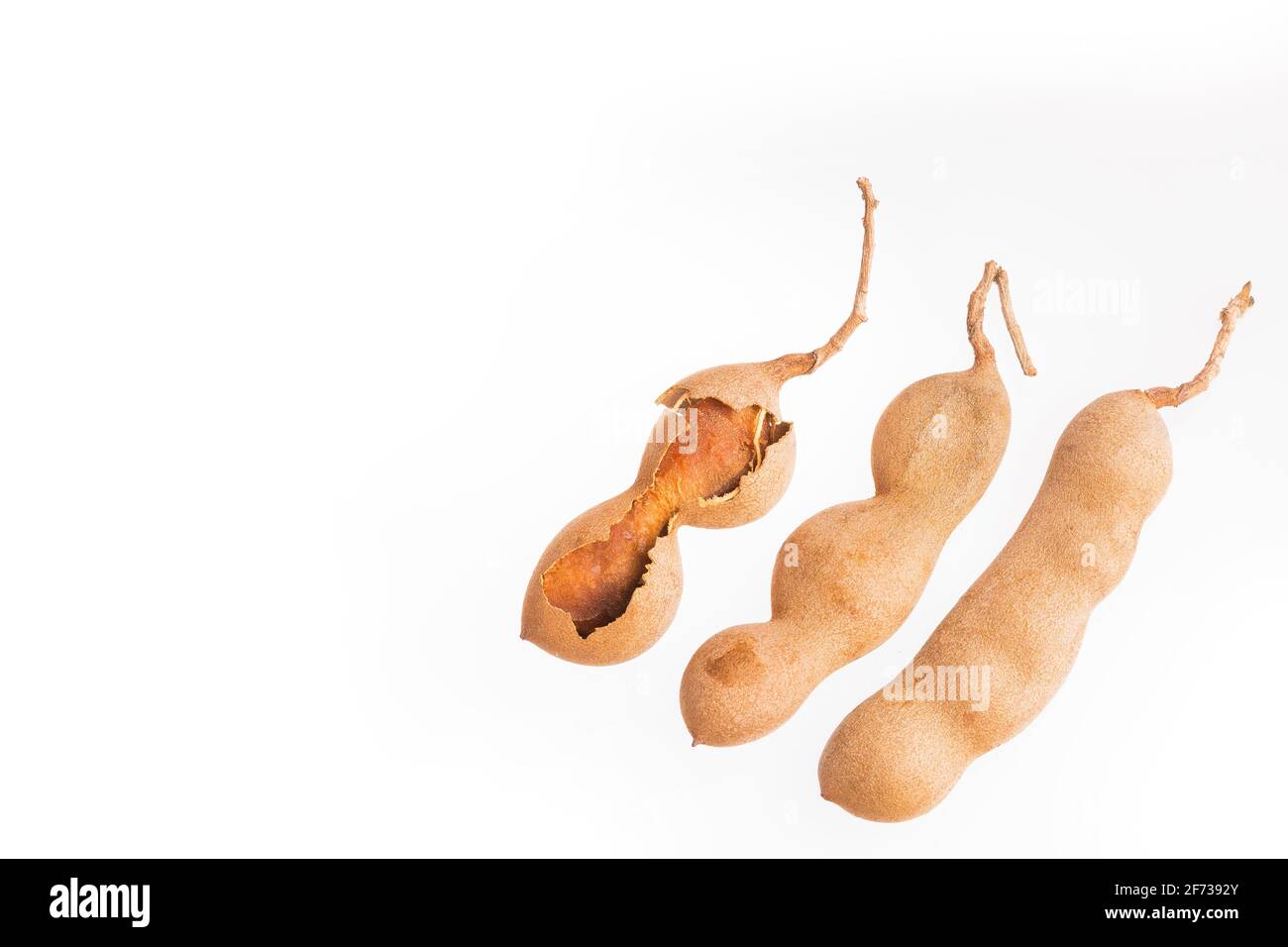 Tamarind tropical fruit - Tamarindus indica. White background Stock ...