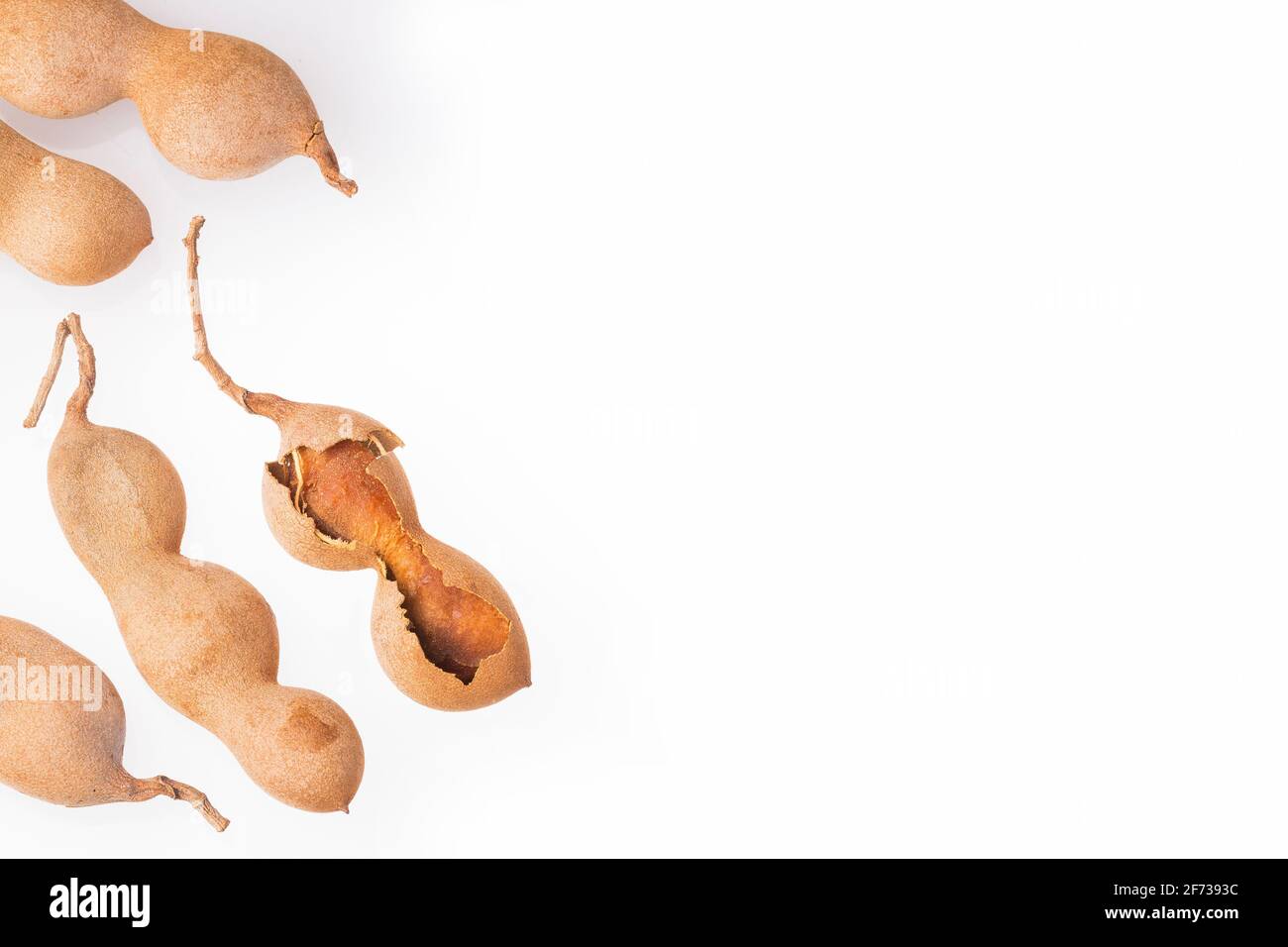 Tamarind tropical fruit - Tamarindus indica. White background Stock ...