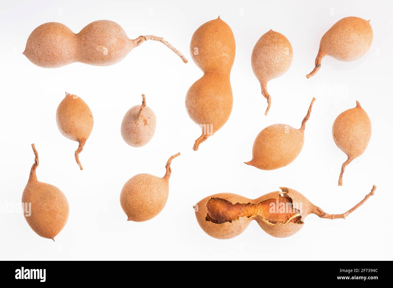 Tamarind tropical fruit - Tamarindus indica. White background Stock ...