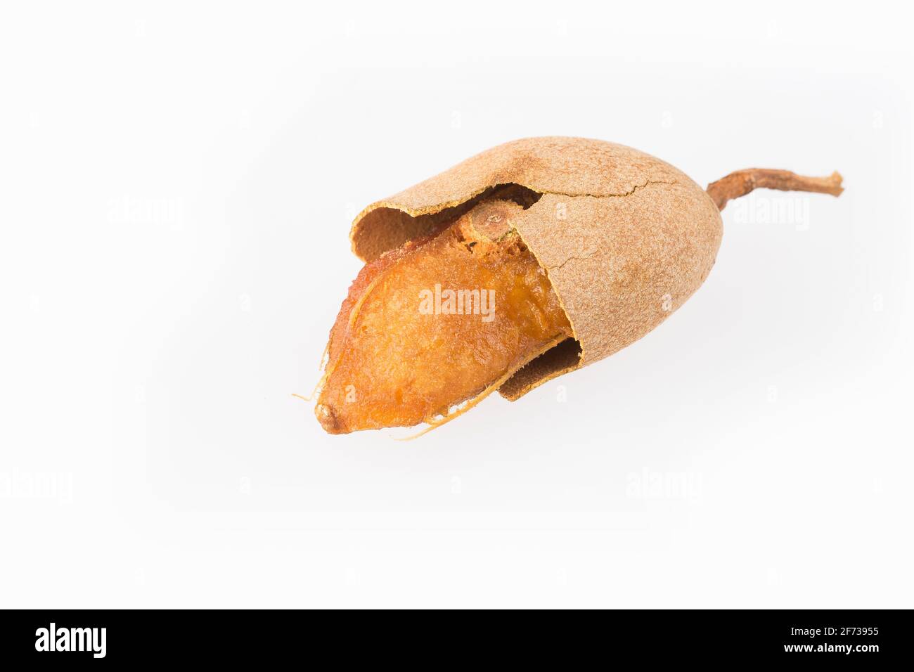 Tamarind tropical fruit - Tamarindus indica. White background Stock ...