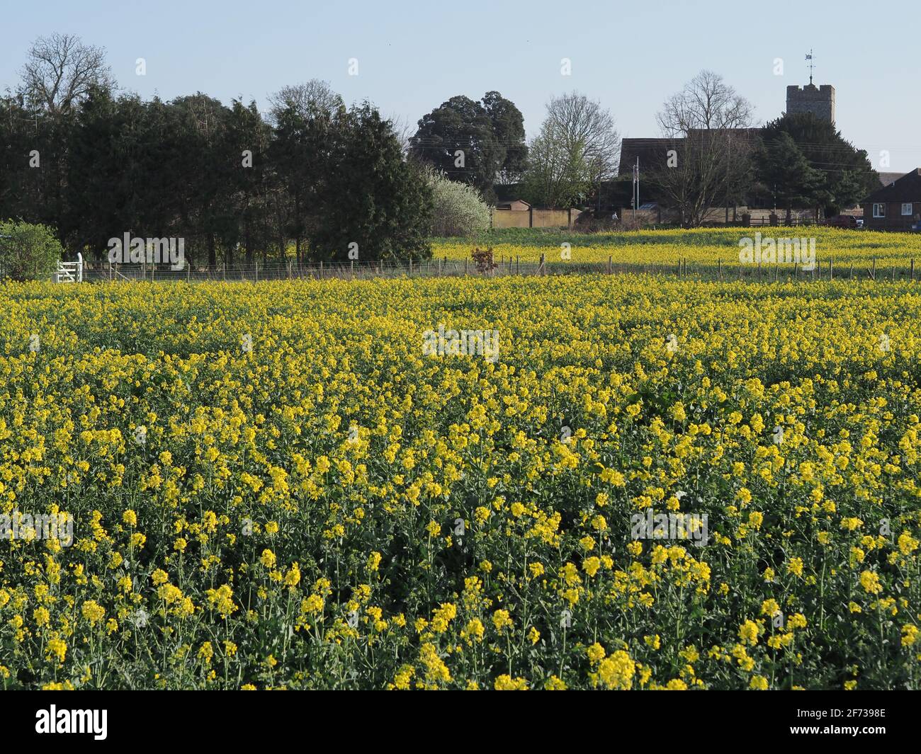 Bobbing, Kent, UK. 4th April 2021. UK Weather: sunny and warm in ...