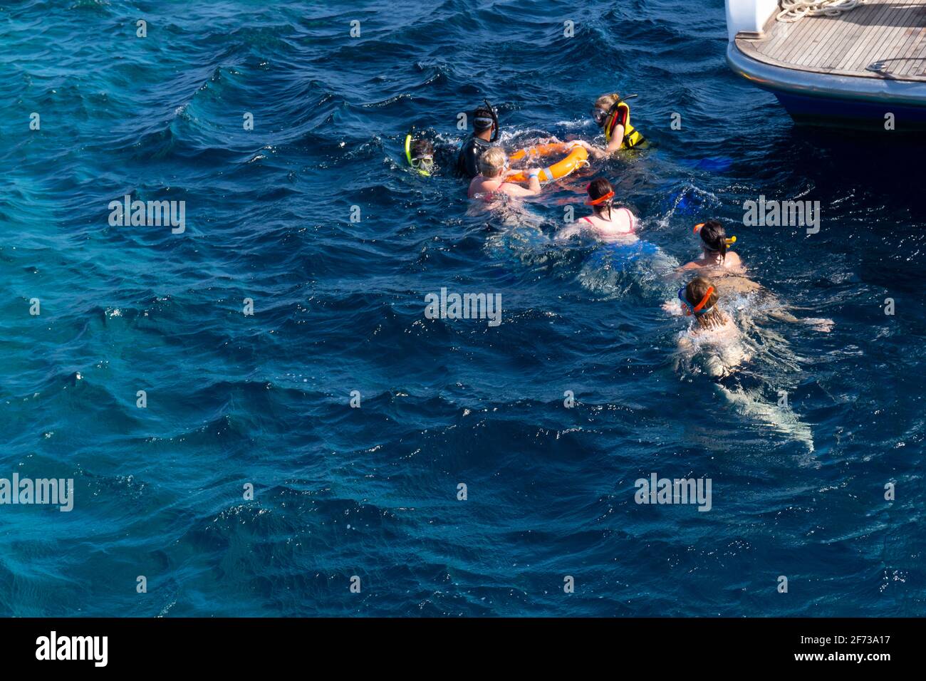 Group of people at swimming suits snorkeling at blue sea Stock Photo ...