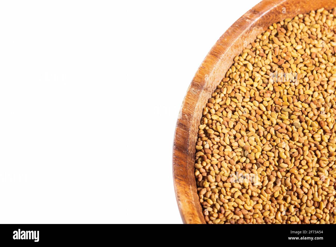 Medicago sativa - Organic Alfalfa Seeds Stock Photo - Alamy