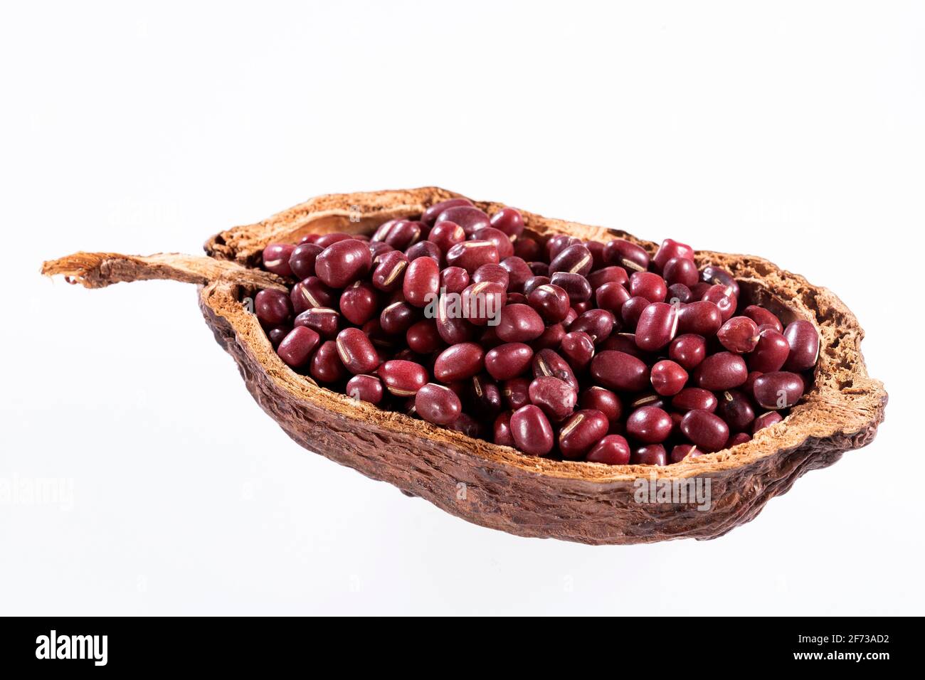 Red Bean Adzuki - Vigna angularis Stock Photo - Alamy
