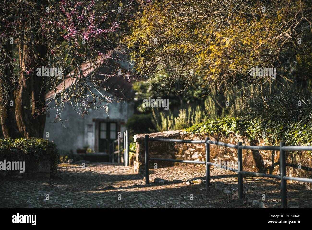 A cozy beautiful courtyard of a summerhouse with a triangle roof in the ...
