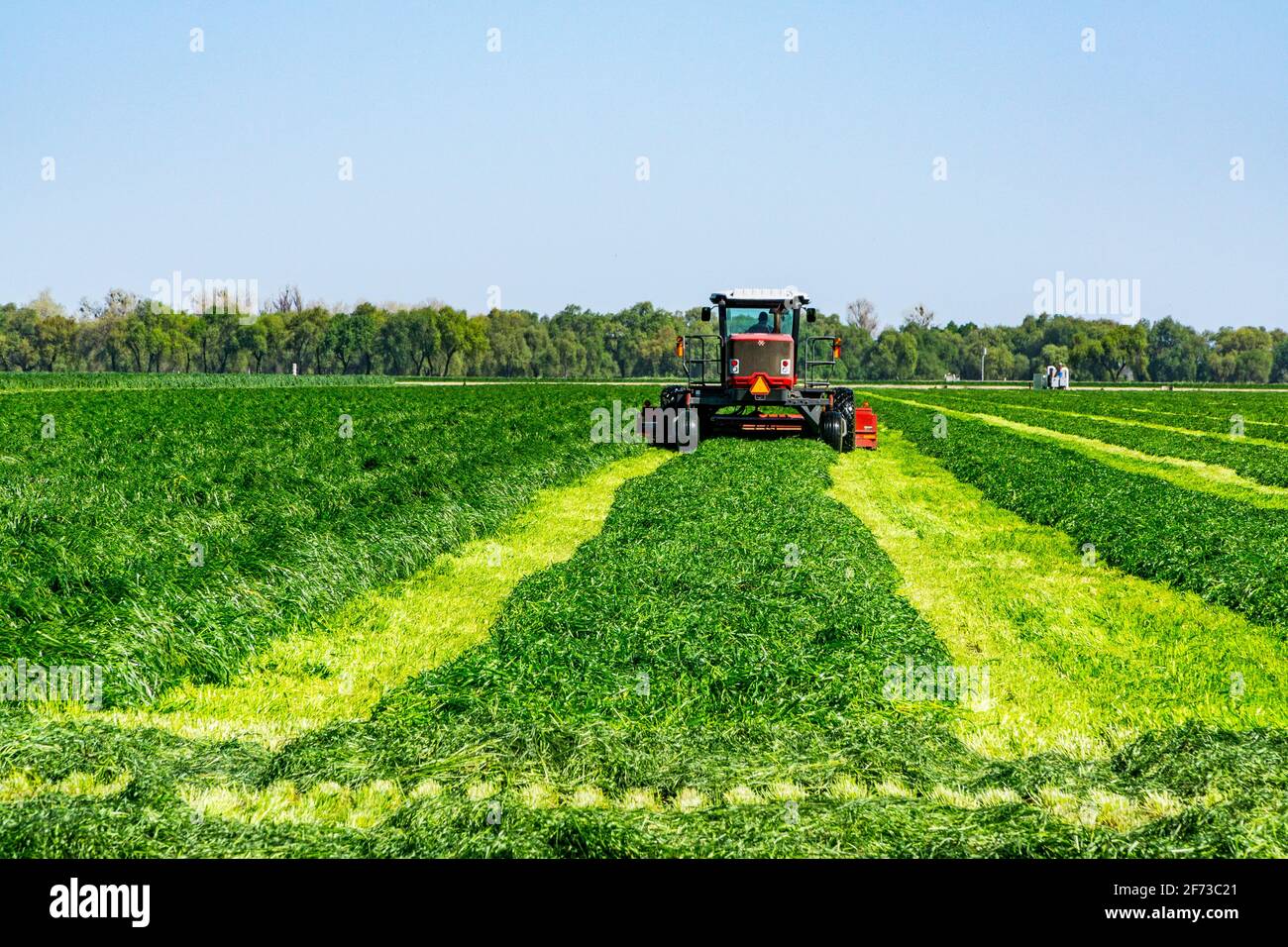 Swather windrower hi-res stock photography and images - Alamy