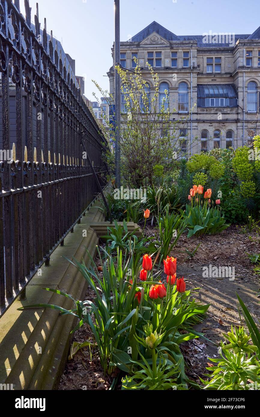 St johns gardens hi-res stock photography and images - Alamy
