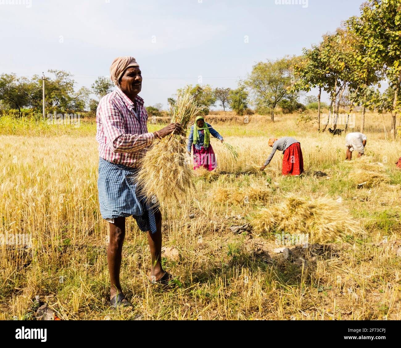 Cutting the crop hi-res stock photography and images - Alamy