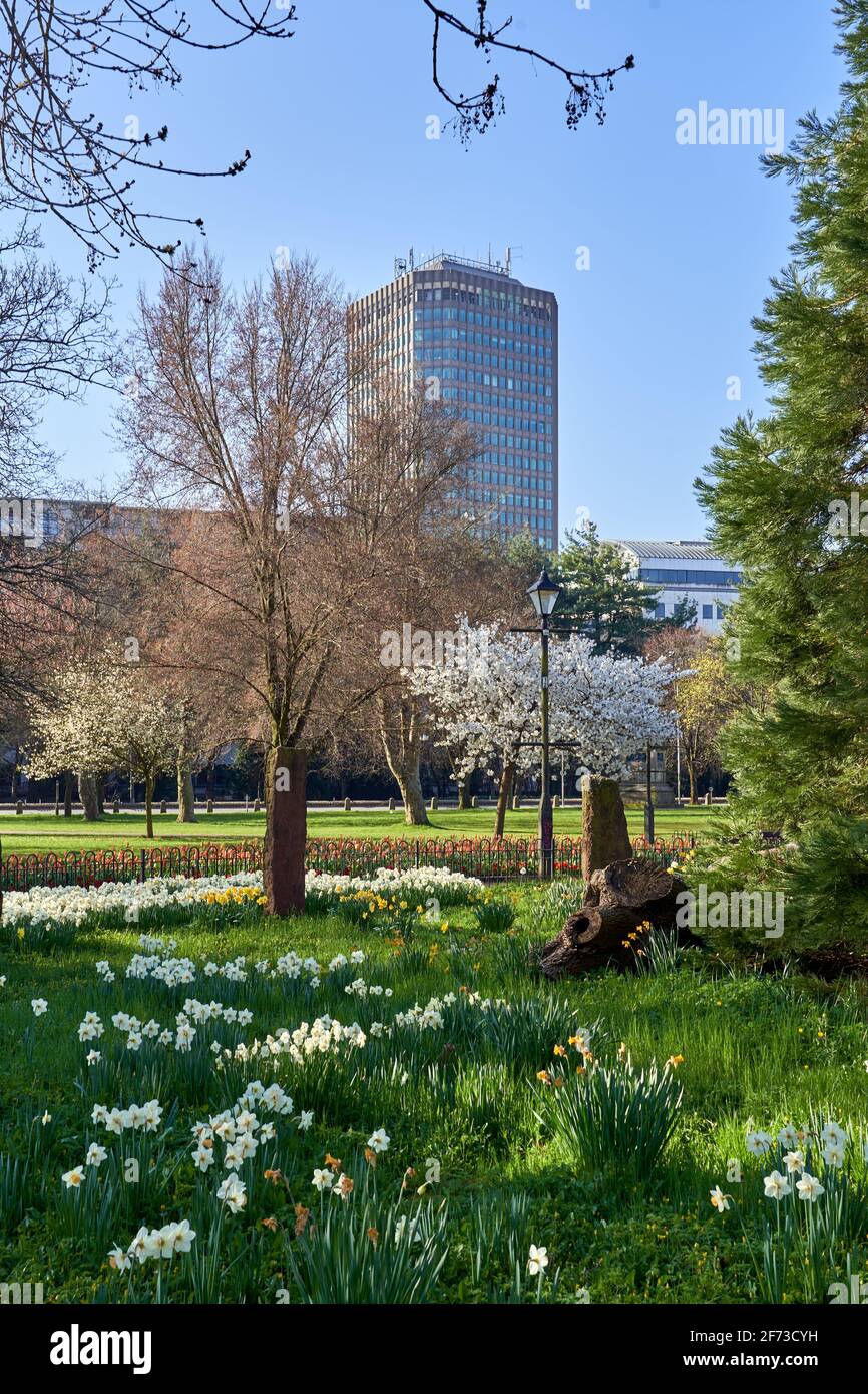 Gorsedd gardens hi-res stock photography and images - Alamy