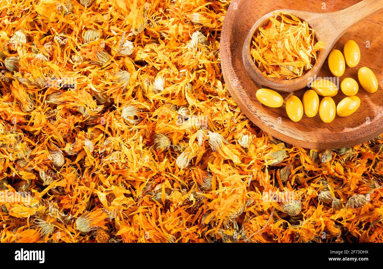 Calendula capsules. Alternative Medicine - Calendula officinalis Stock ...