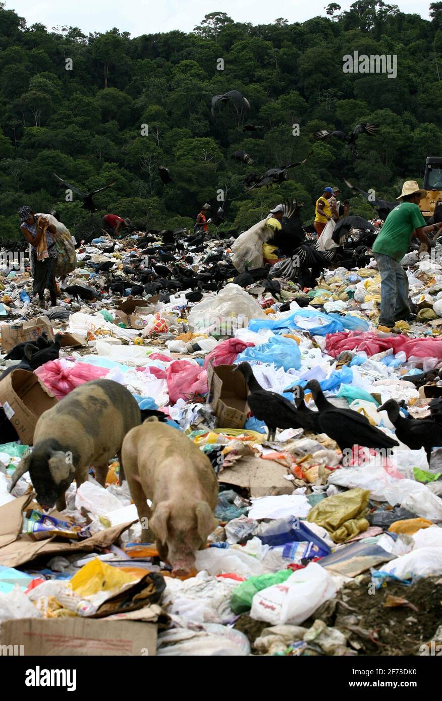 itabuna, bahia / brazil - february 14, 2012: people are seen turning ...