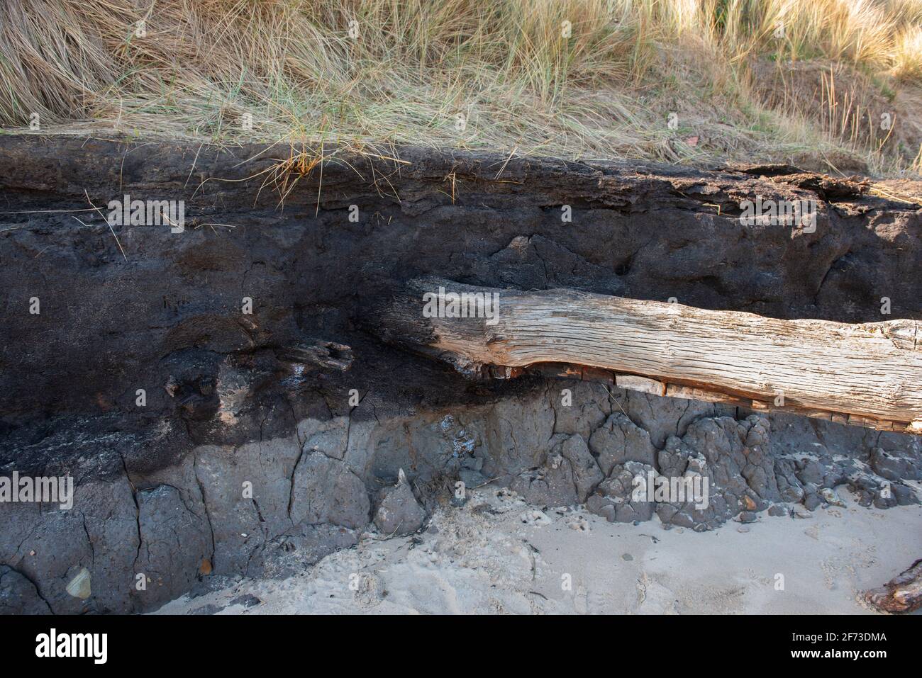 Mesolithic period hi-res stock photography and images - Alamy