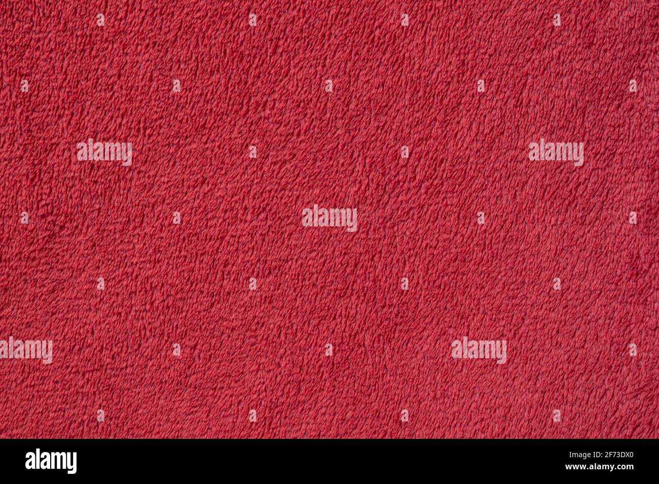 Plush red texture. Macro photo. Fabric background Stock Photo - Alamy