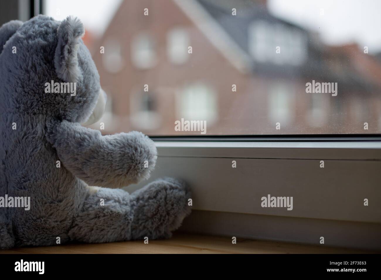 Stuffed animal looking out of a window, symbolizing isolated children ...