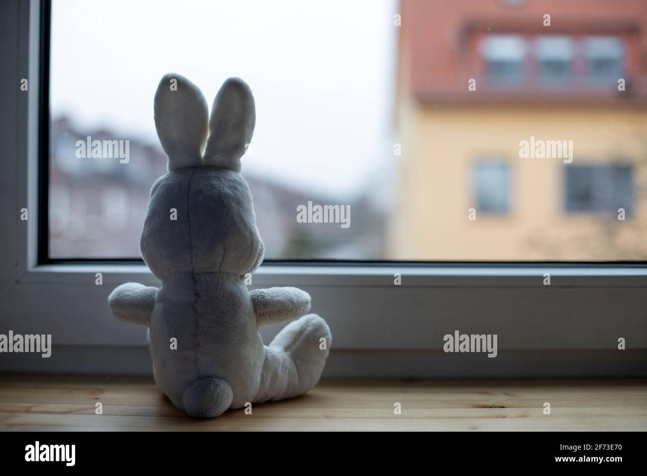 Stuffed animal looking out of a window, symbolizing isolated children ...