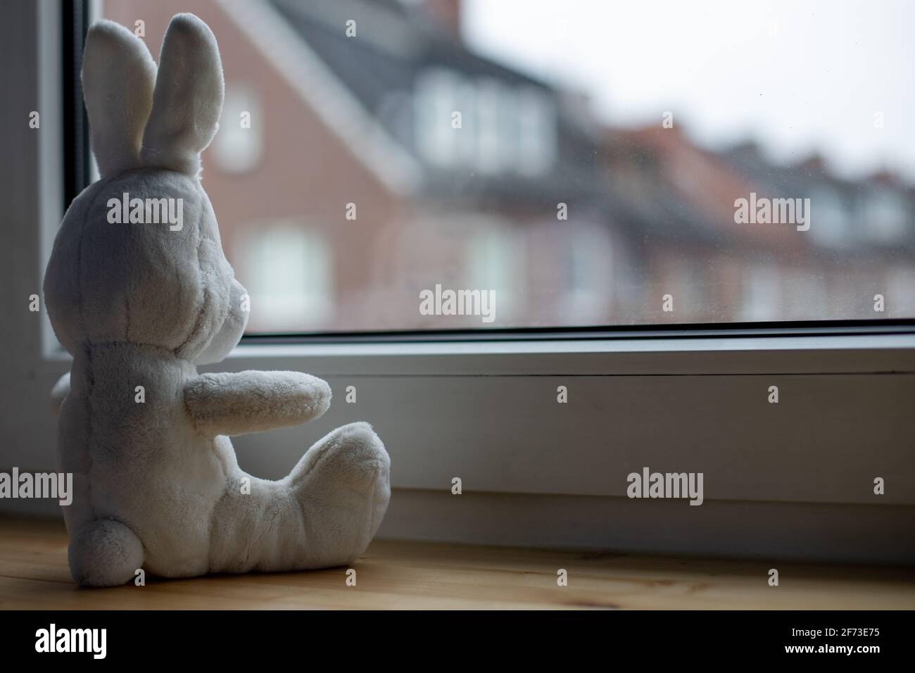 Stuffed animal looking out of a window, symbolizing isolated children ...
