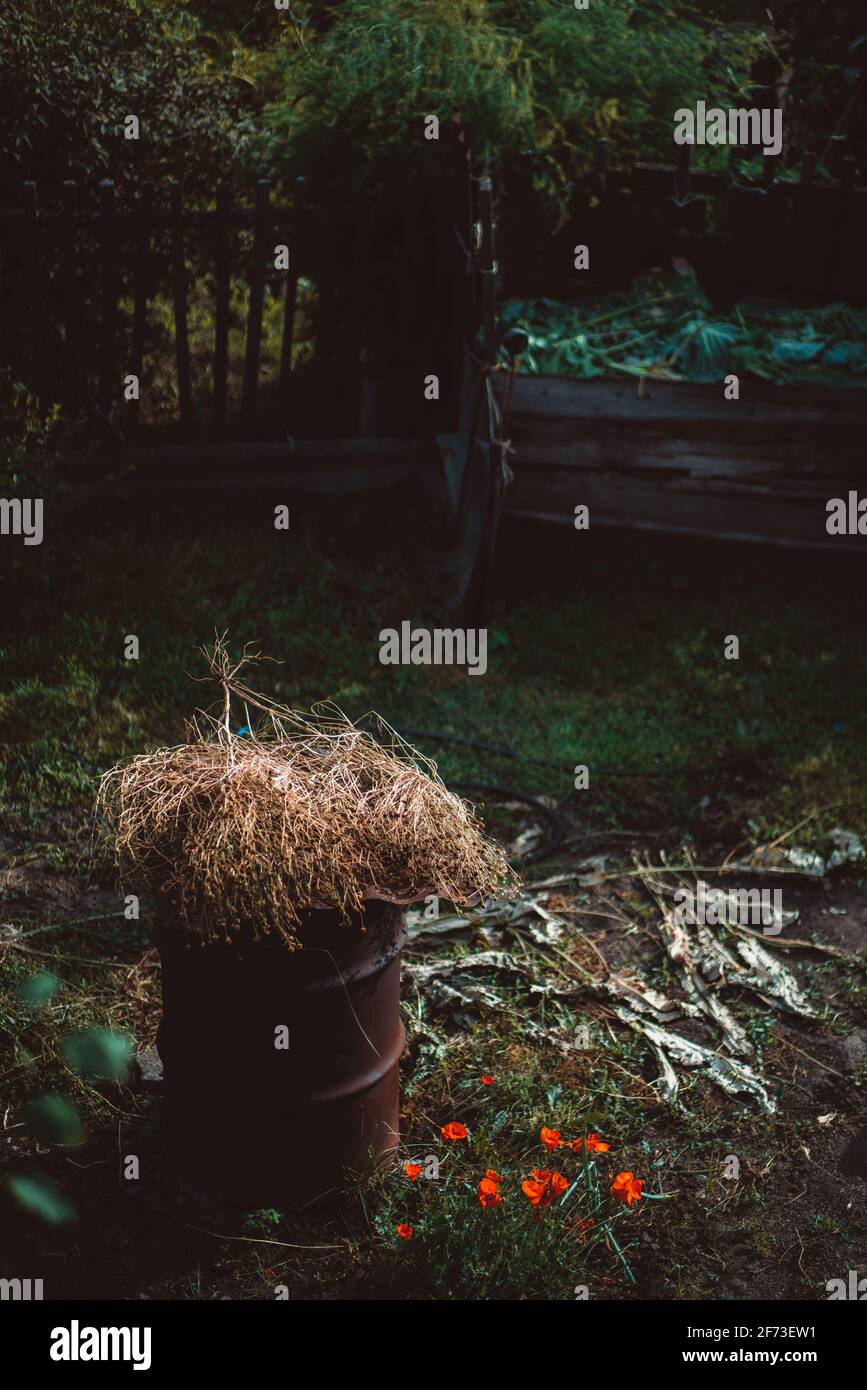 A vertical shot of a rusty cylindrical garbage vat in a vegetable ...
