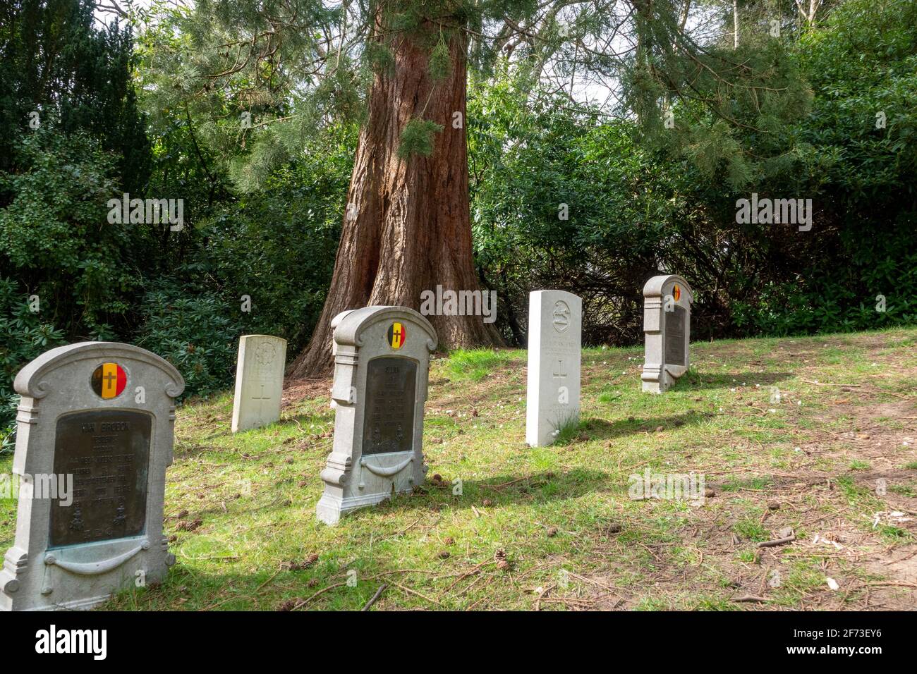 Netley military cemetery hi-res stock photography and images - Alamy