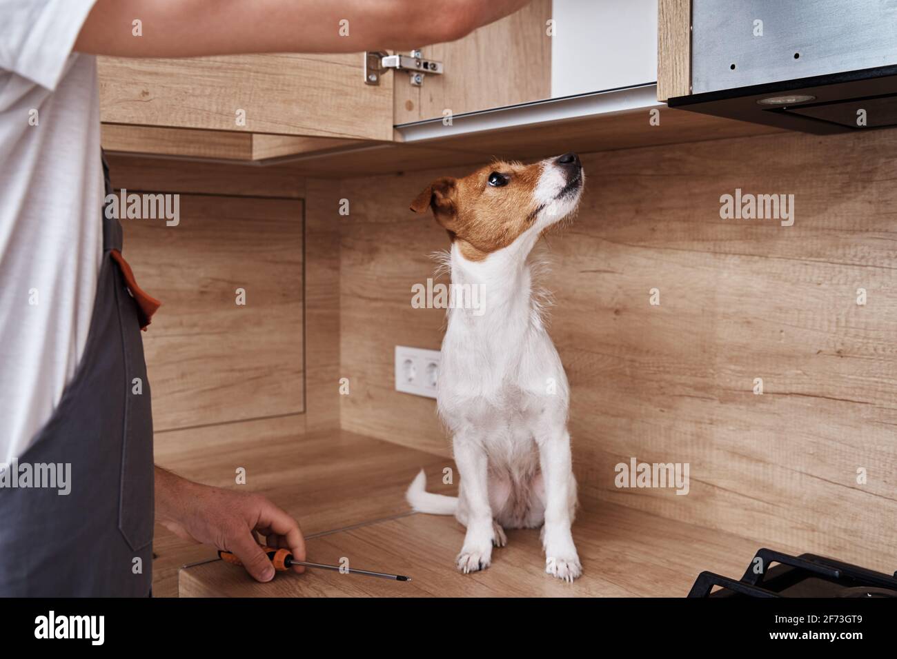 Dog man home door hi-res stock photography and images - Alamy