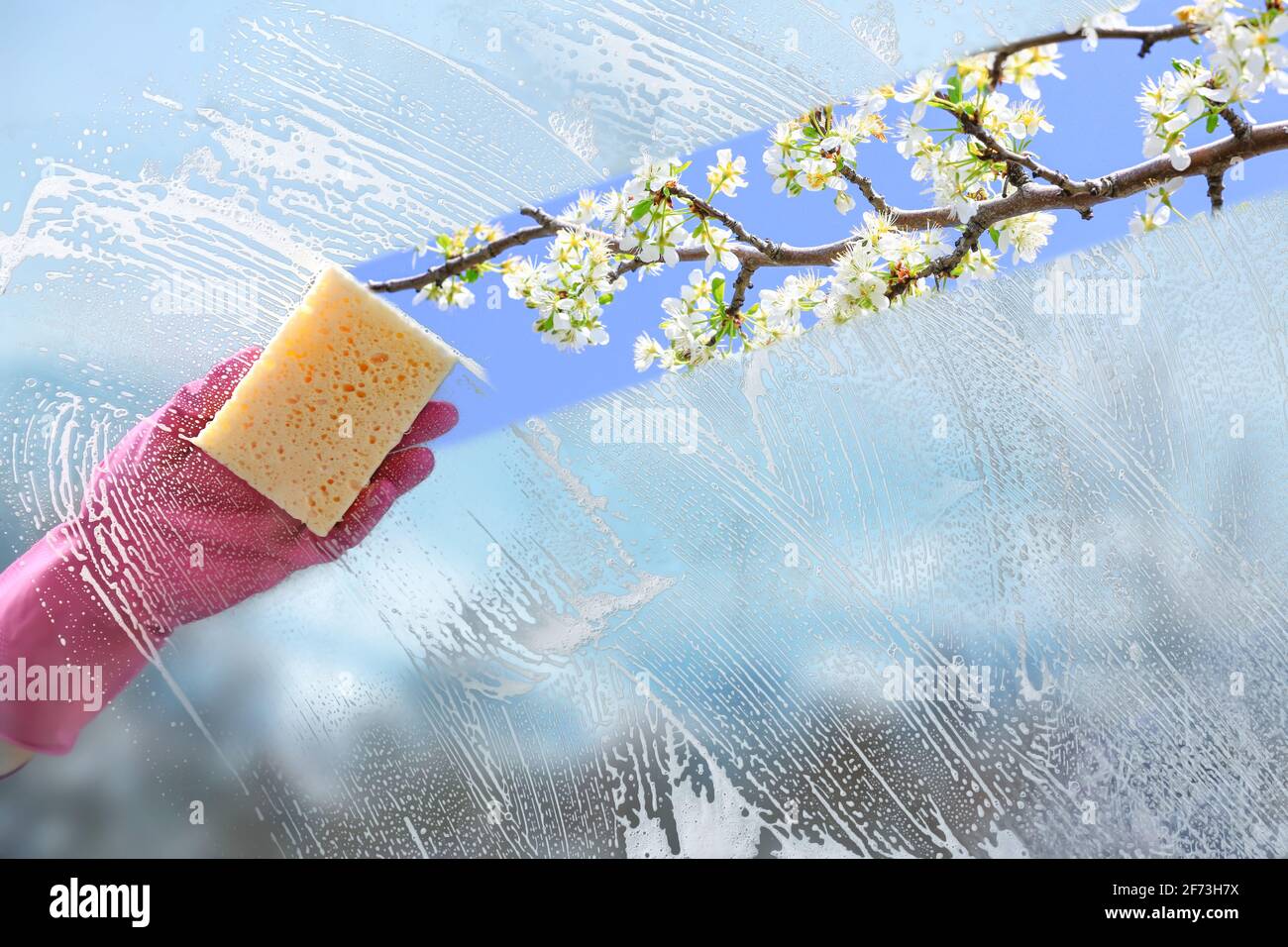 Janitor washing window with detergent. Spring cleaning Stock Photo - Alamy