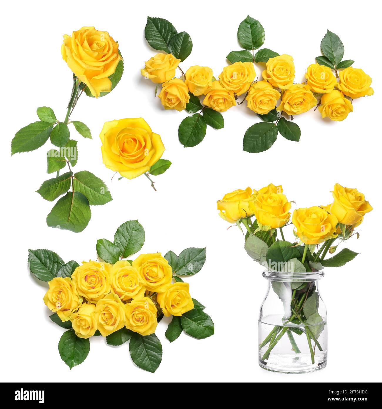 Beautiful yellow roses on white background Stock Photo - Alamy