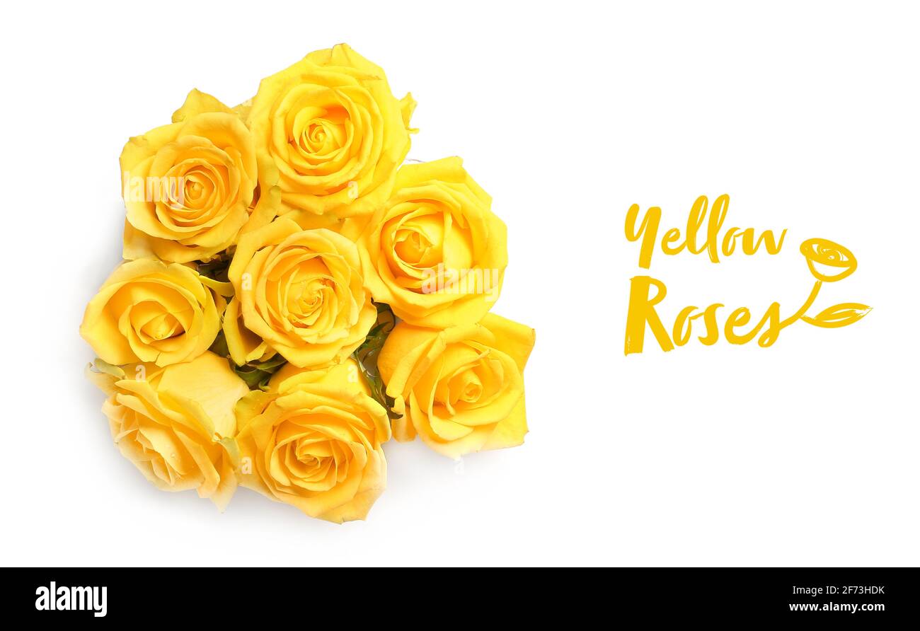 Fresh yellow roses on white background Stock Photo - Alamy