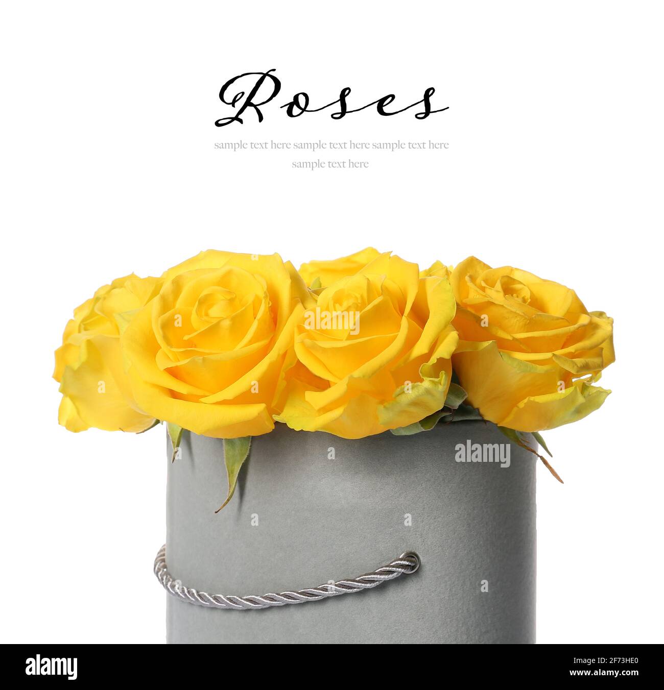 Gift box with fresh yellow roses on white background with space for ...