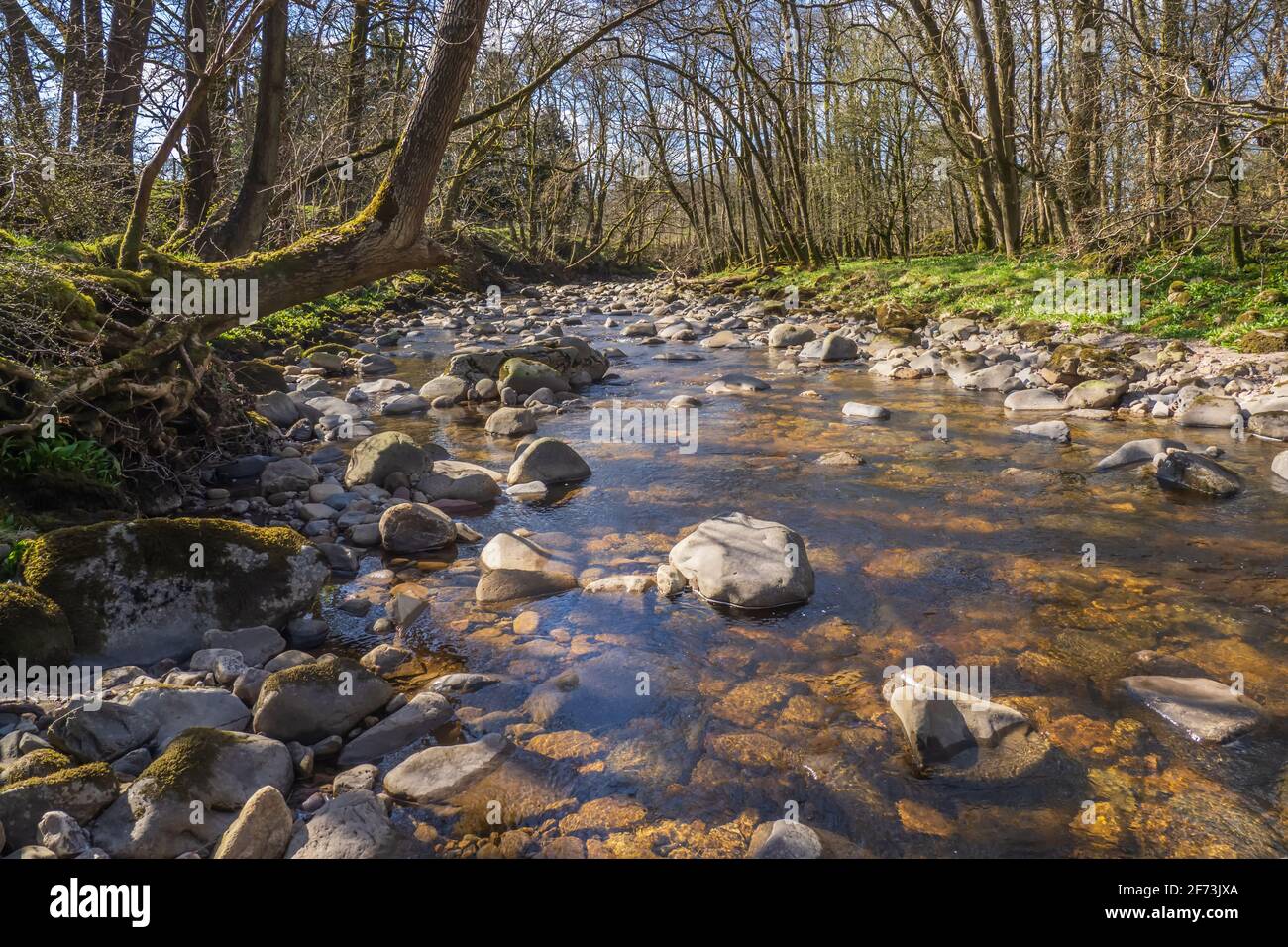 Situated high on Casterton Fell at the western end of the Yorkshire ...