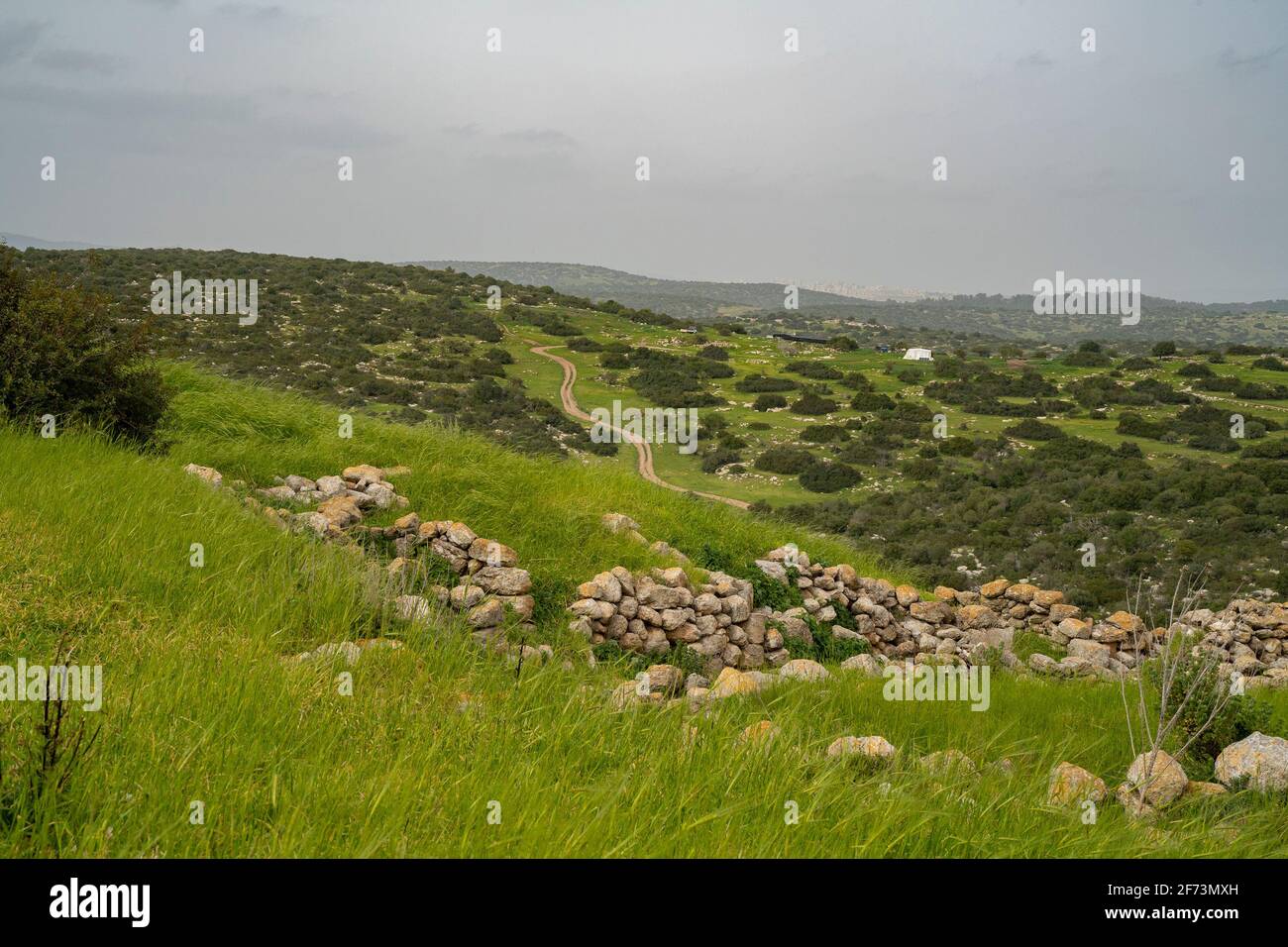 A view of the Adullam region of Israel from the archeological site of ...