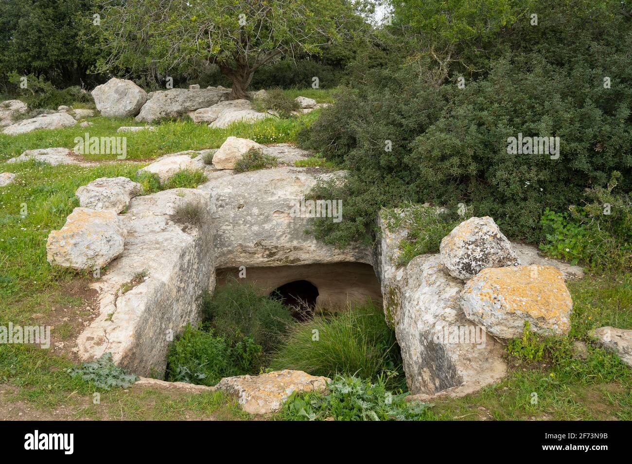 An ancient burial cave in the archeological site Khirbat Umm Burj ...
