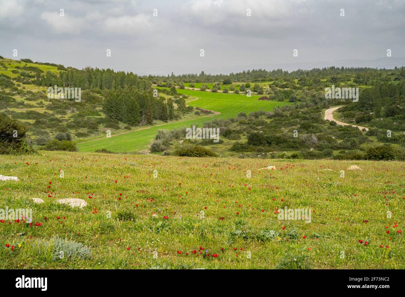 Agricultural grounds in a valley between tree covered hills and a ...