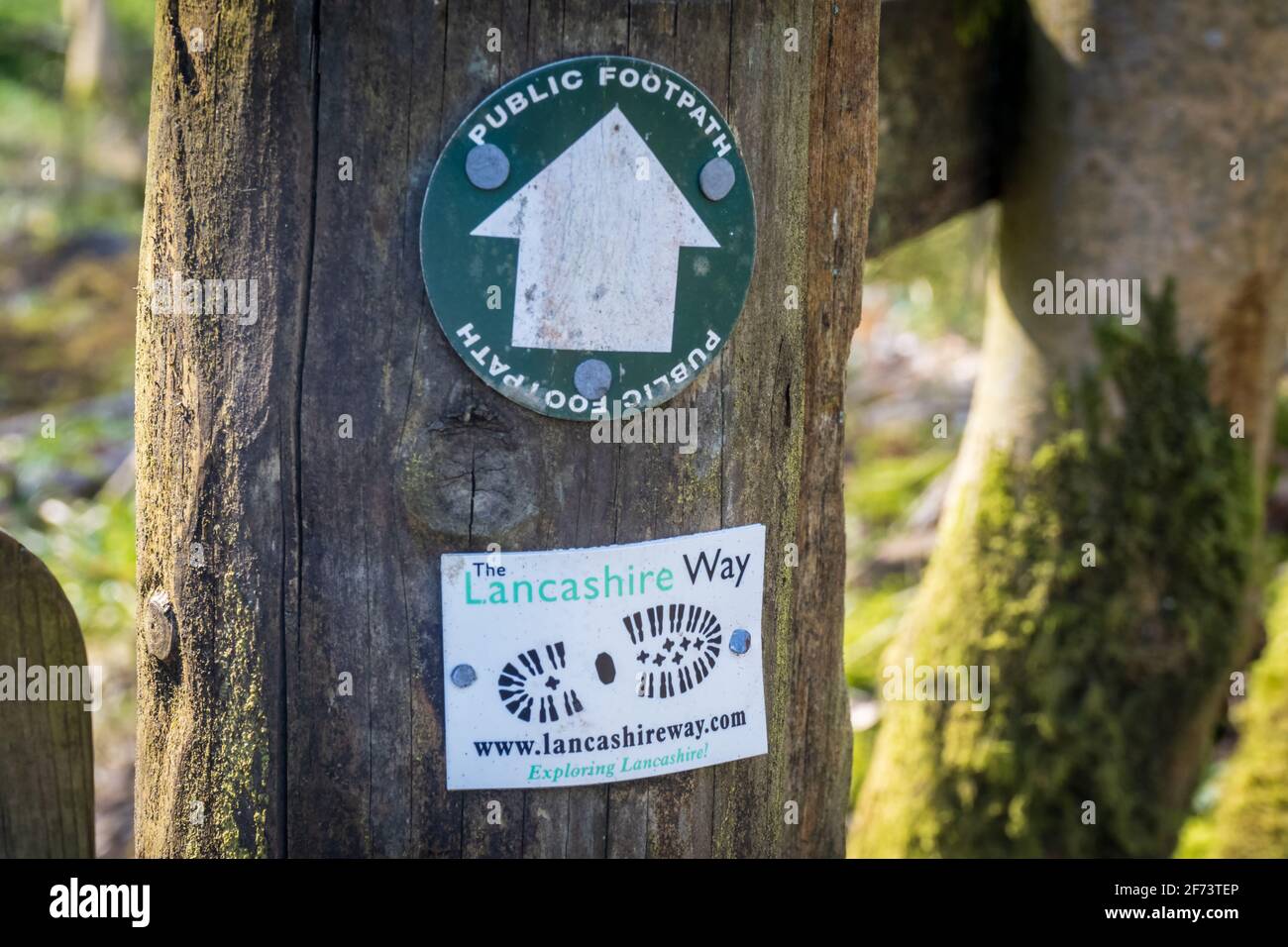 Situated high on Casterton Fell at the western end of the Yorkshire ...