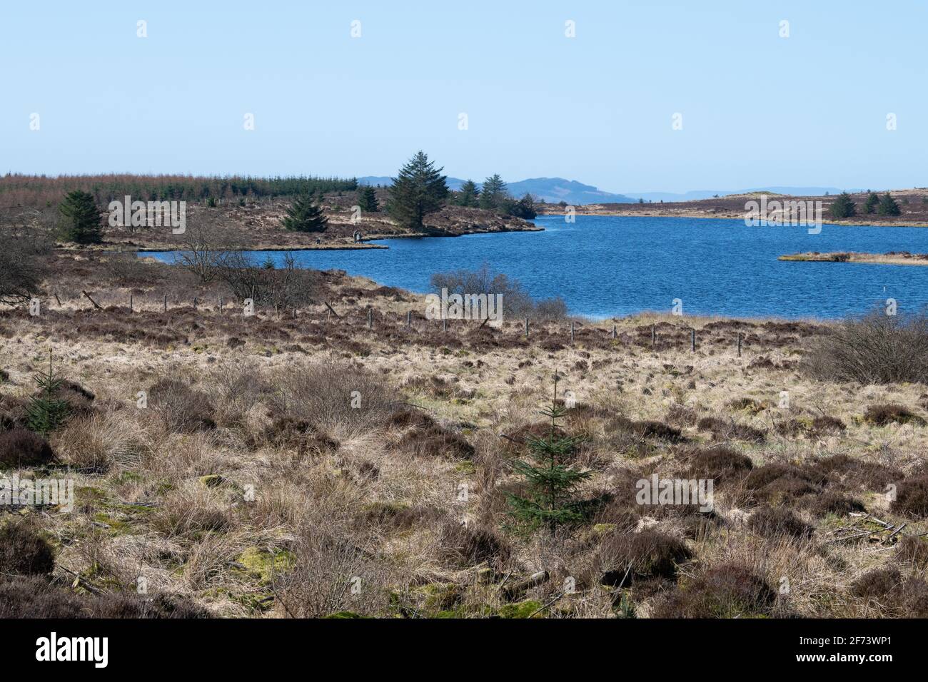 Muir Park Reservoir seen from Old Drymen Road, Stirling, Scotland, UK ...