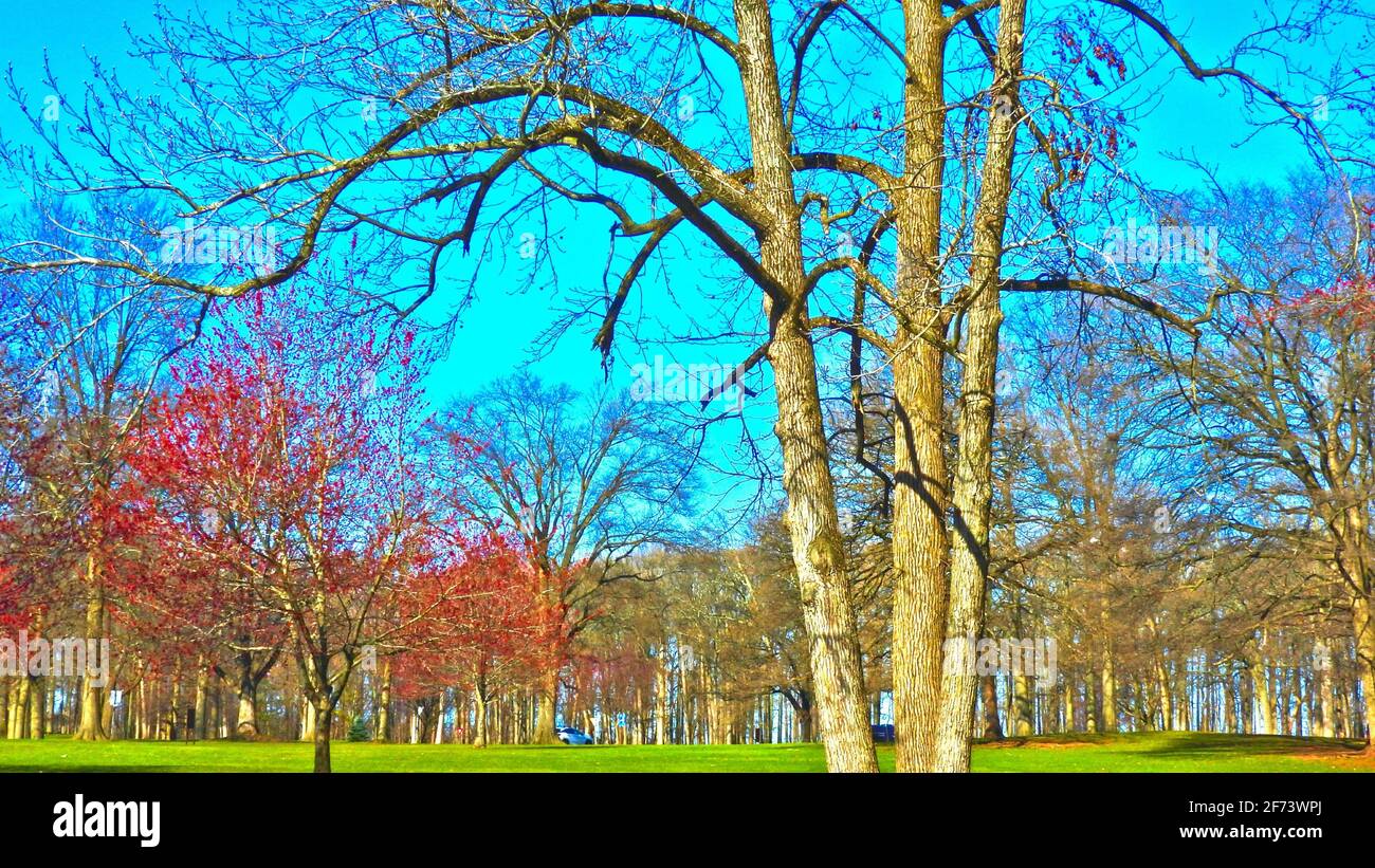 Temperate broadleaf and mixed forest hi-res stock photography and ...