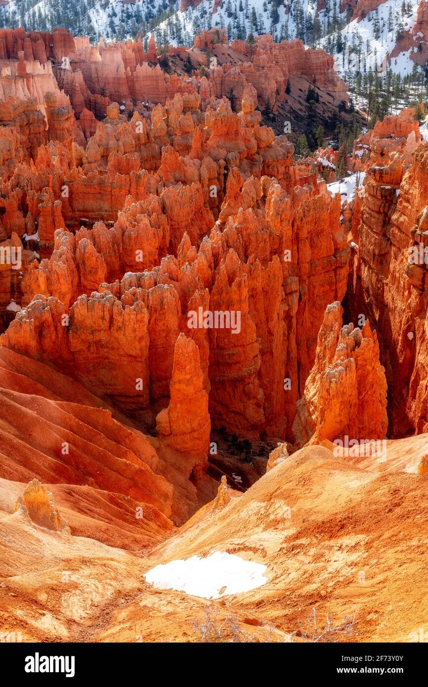 Spectacular columns of rock on display at Utah’s Bryce Canyon Stock ...