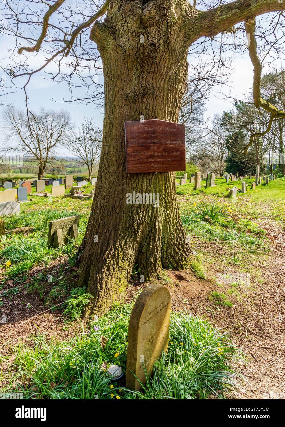 Grave of musician Nick Drake, his ashes buried here at St Mary ...