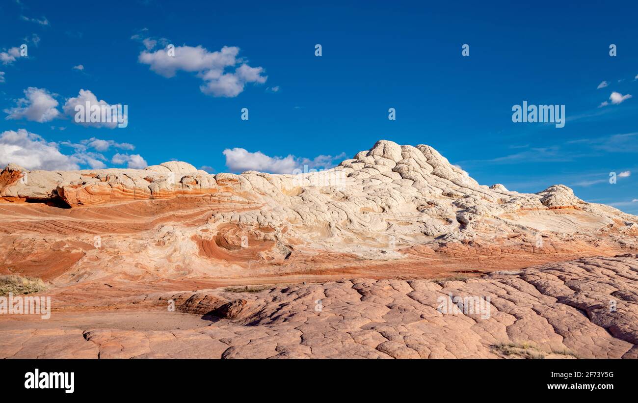 Unique textured rocks in the Arizona desert Stock Photo - Alamy