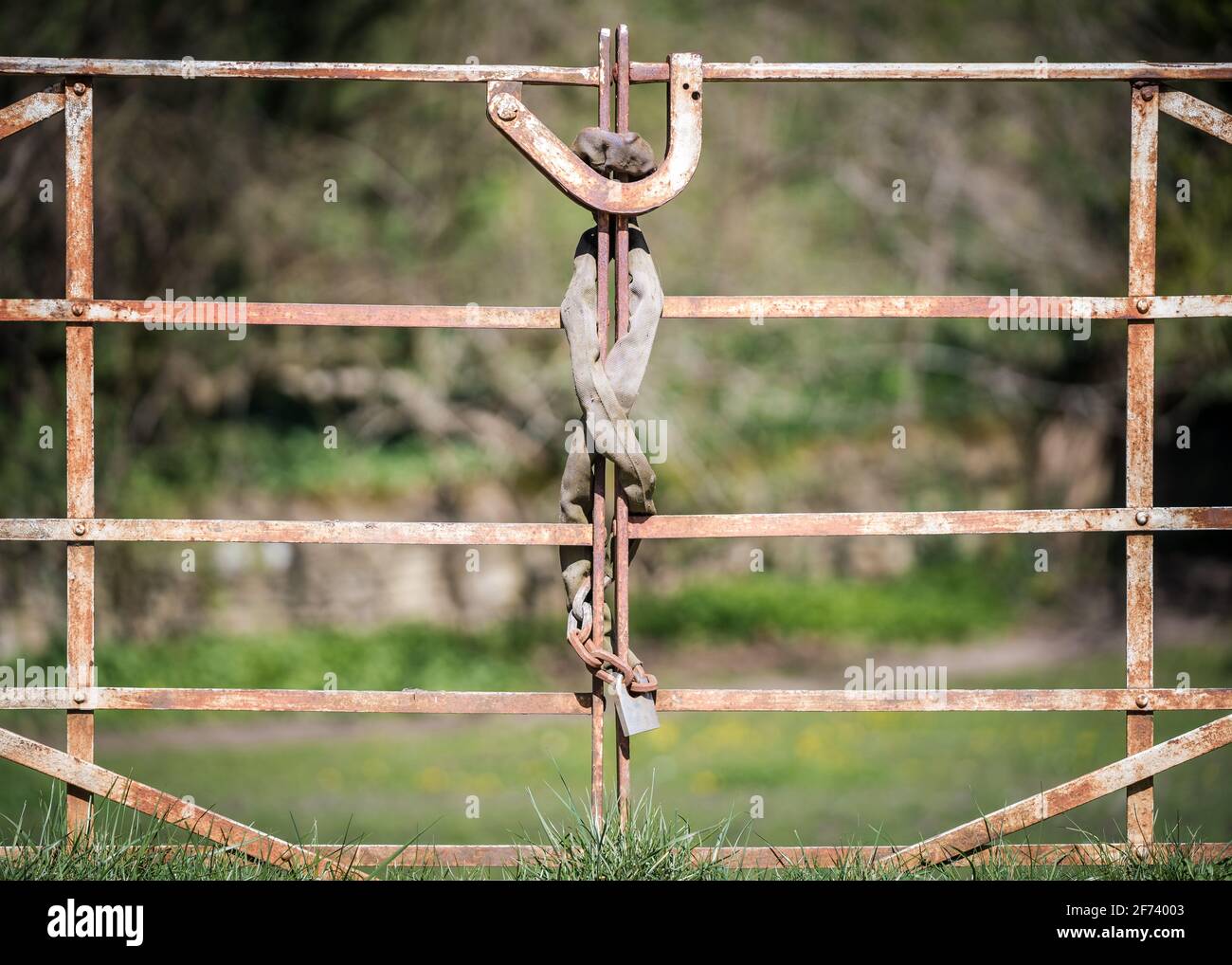 Steel farm gates hi-res stock photography and images - Alamy