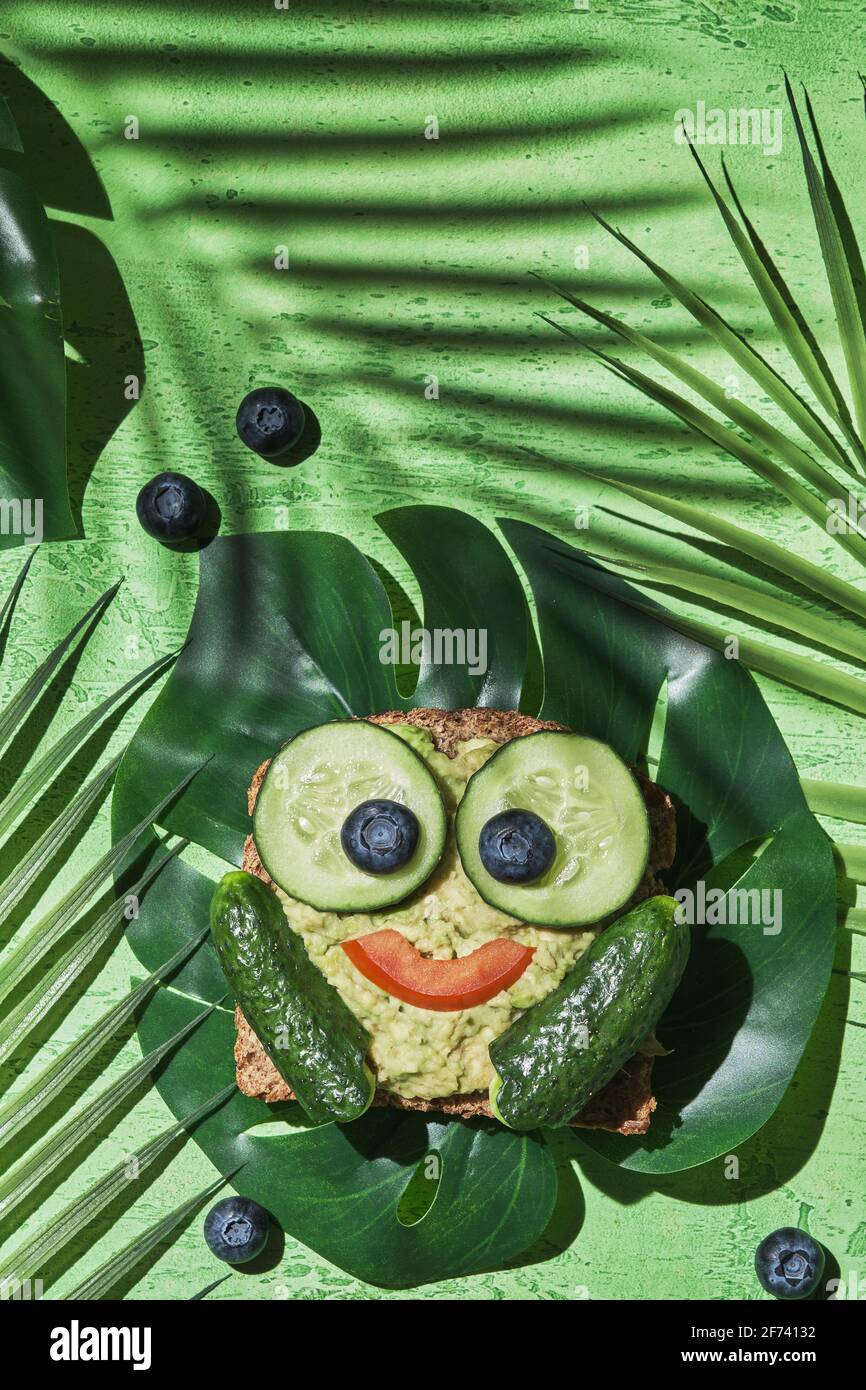 Funny Frog Toast With Cucumber And Mashed Avocado Stock Photo - Alamy