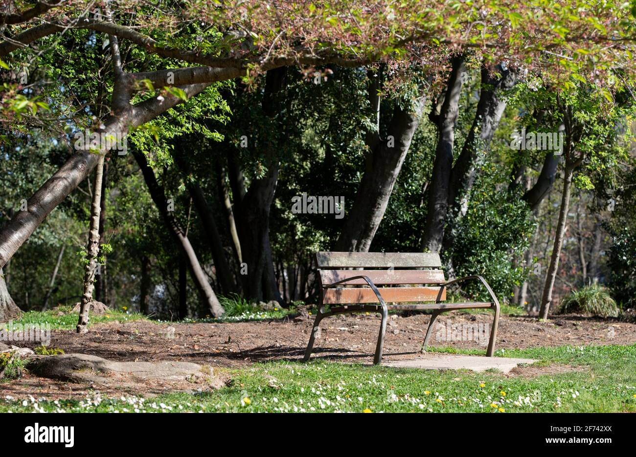 Lonely bench hi-res stock photography and images - Alamy