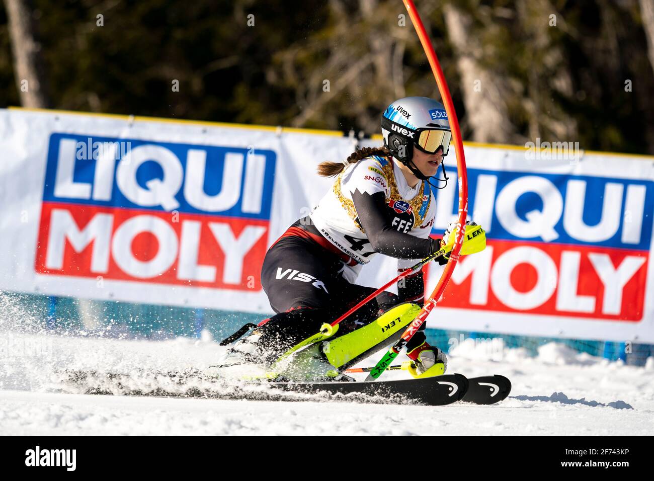 Germane dzenifera hi-res stock photography and images - Alamy