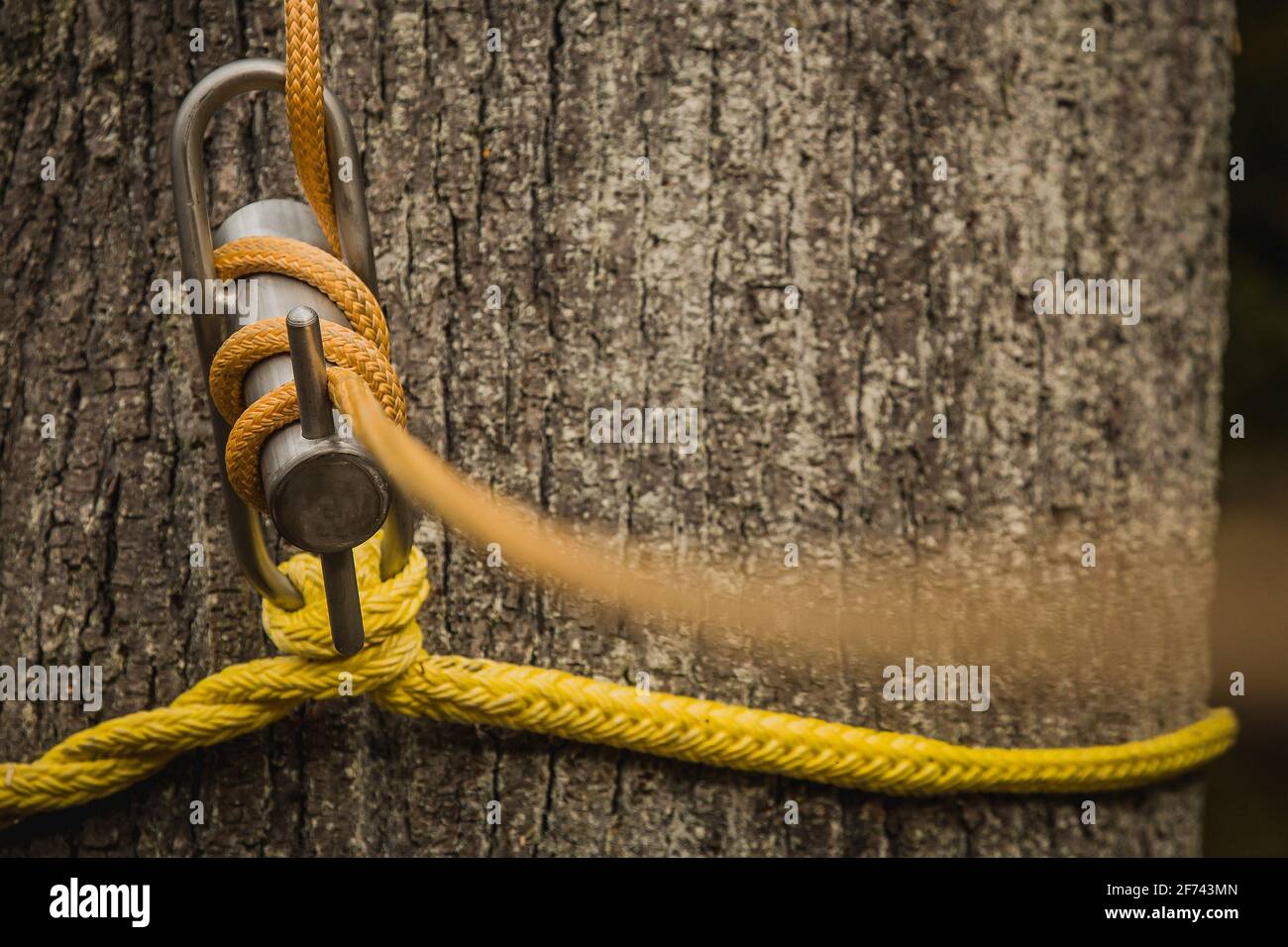 Rope around trunk hi-res stock photography and images - Alamy