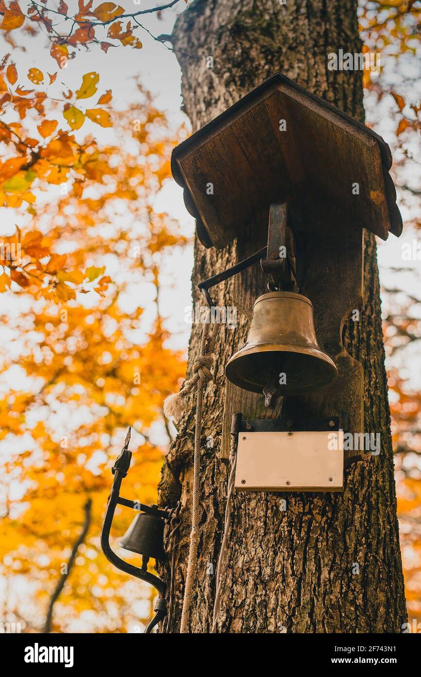 Bell mounted on a tree trunk for hikers to ring. White empty signboard ...